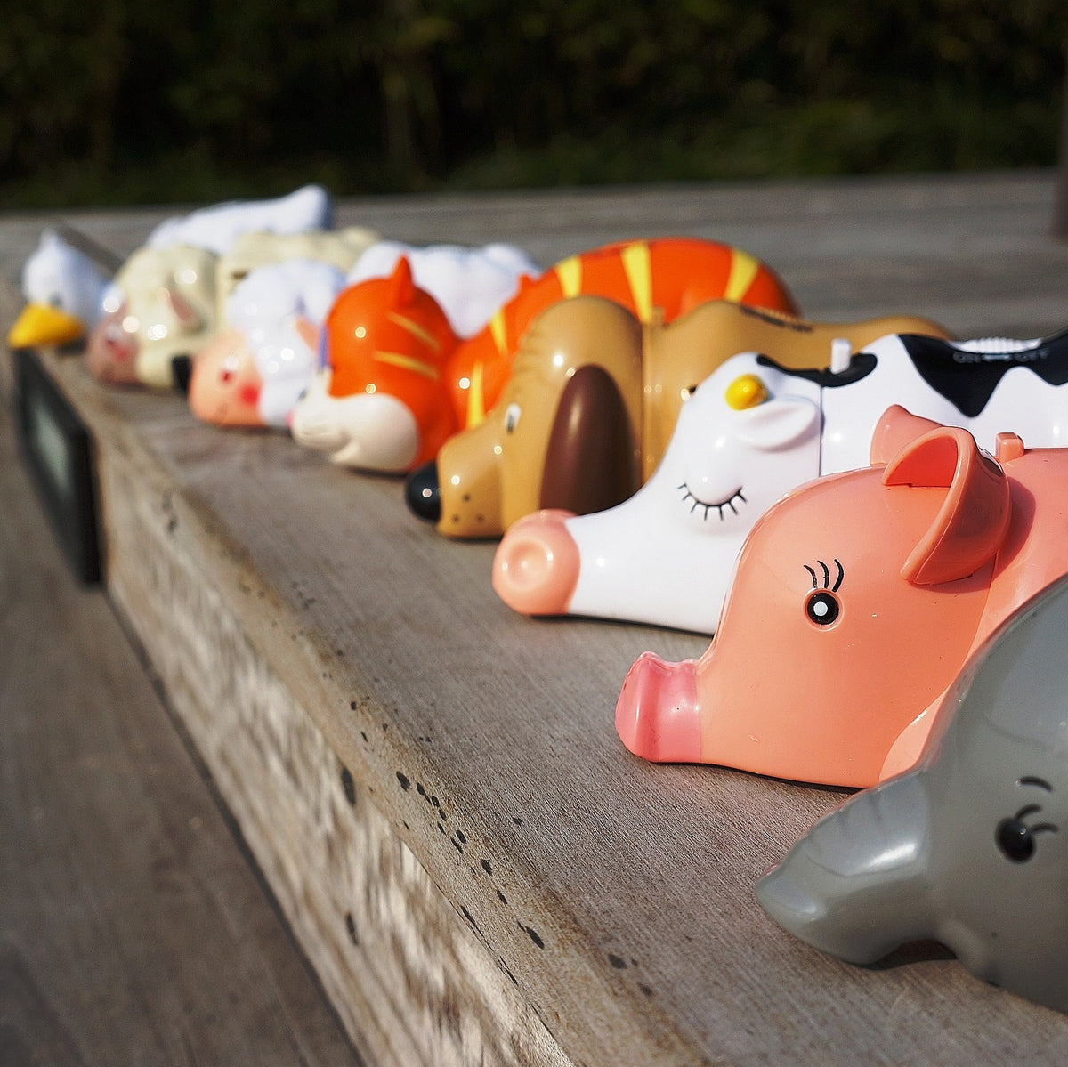 CRUMBY animal vacuum – SOOHAP